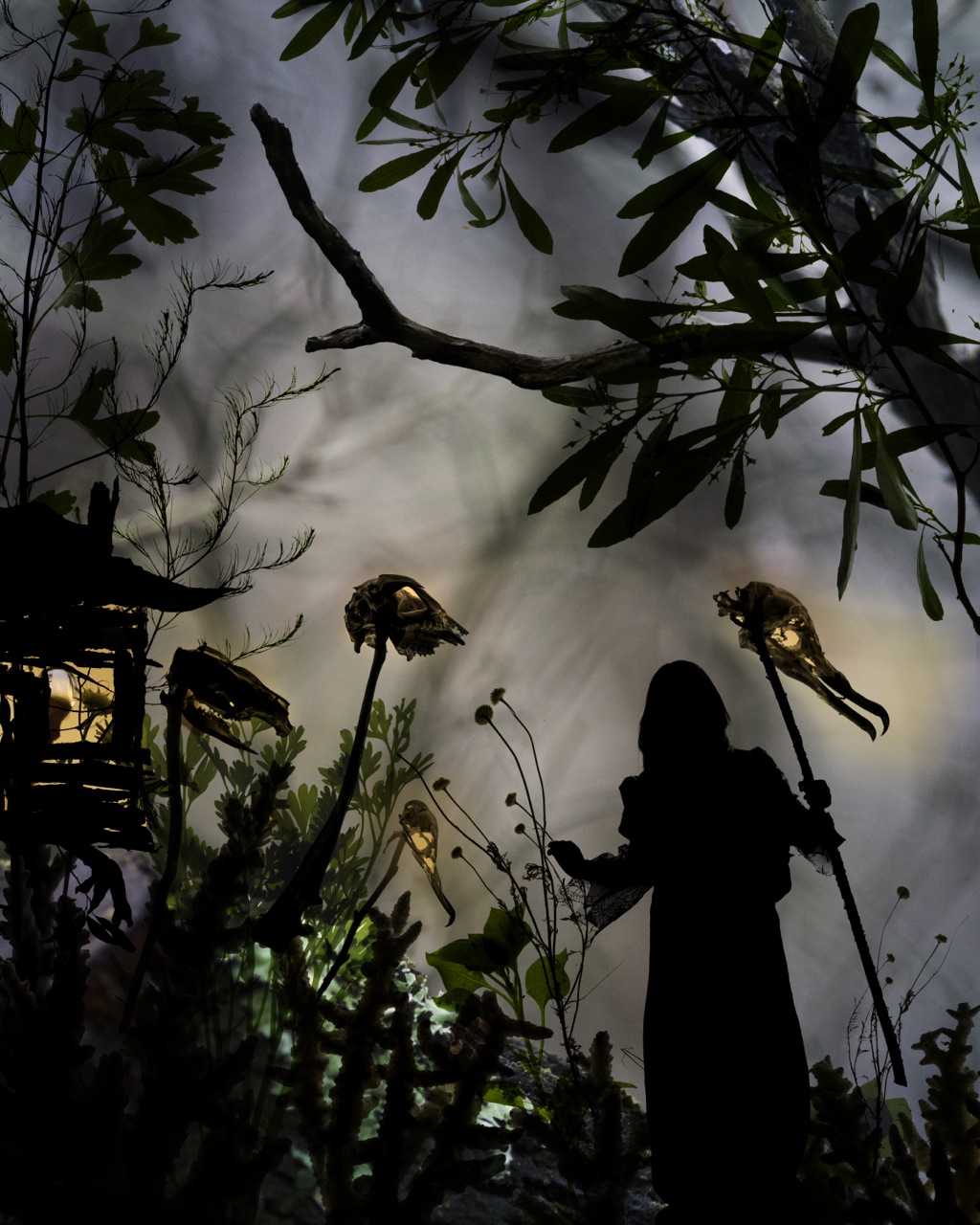 Artwork Gallery | The Bone Lantern